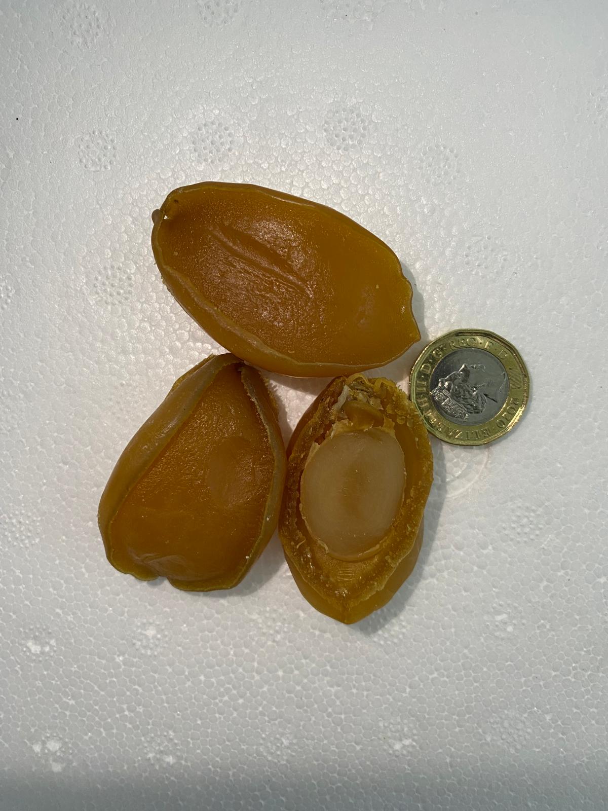 Dalian Dry Abalone 200g (12PCS -13PCS) | 百福廣糪禾洣饌